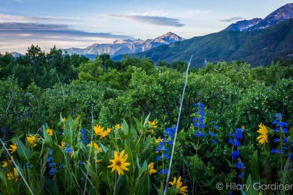 Camping near Cascade Springs [Utah] » Next Stop: Adventure
