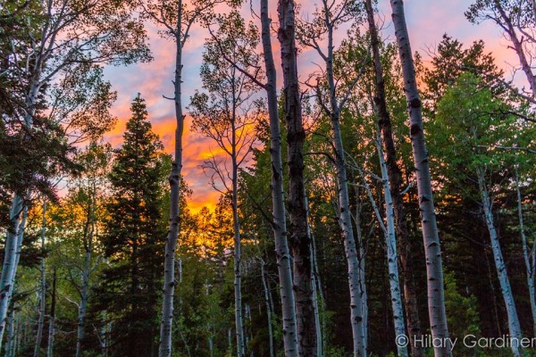 Camping near Cascade Springs [Utah] » Next Stop: Adventure