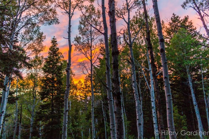 Camping near Cascade Springs [Utah] » Next Stop: Adventure