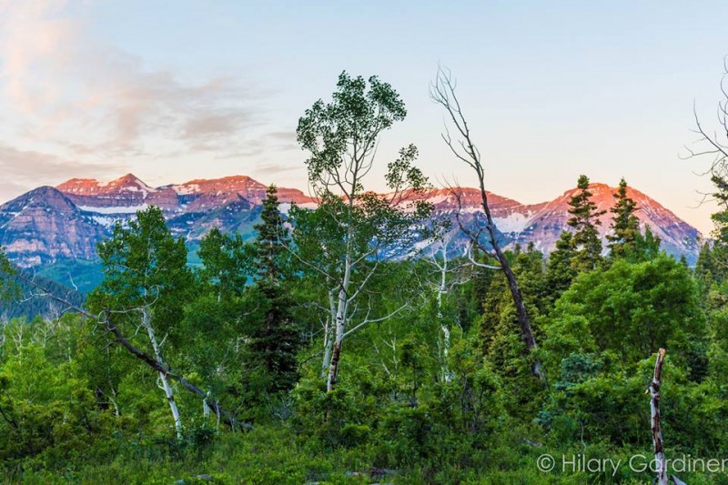 Camping near Cascade Springs [Utah] » Next Stop: Adventure