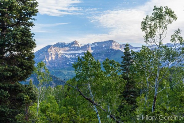 Camping near Cascade Springs [Utah] » Next Stop: Adventure