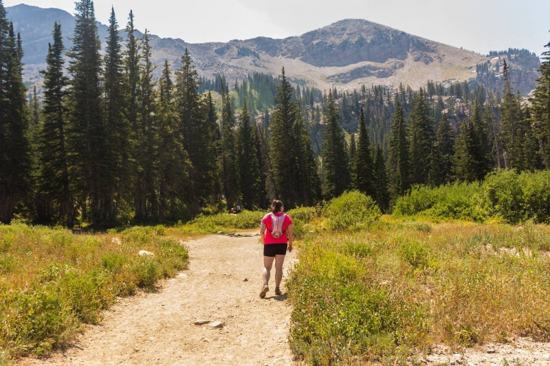 Cecret Lake (aka Secret Lake) [Salt Lake City Hike] » Next Stop: Adventure