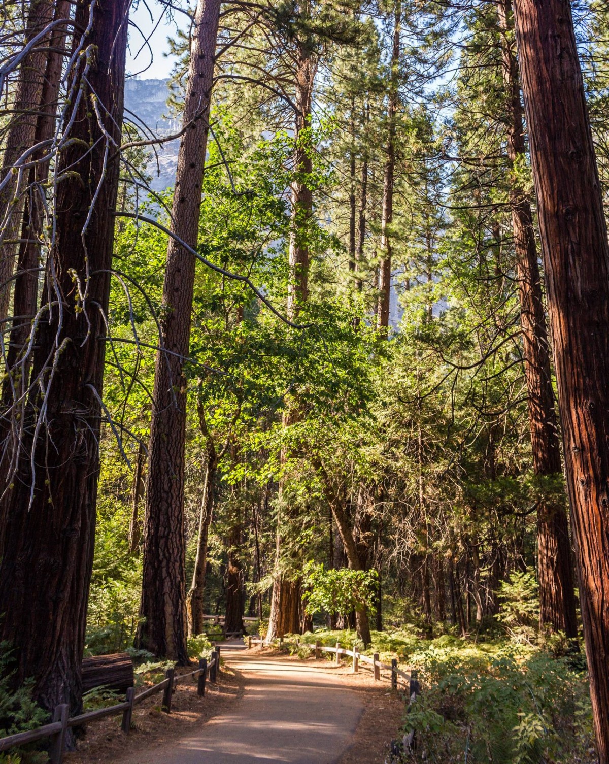 4 Day Trip to California: Lake Tahoe, Yosemite, Sequoia & Kings Canyon ...